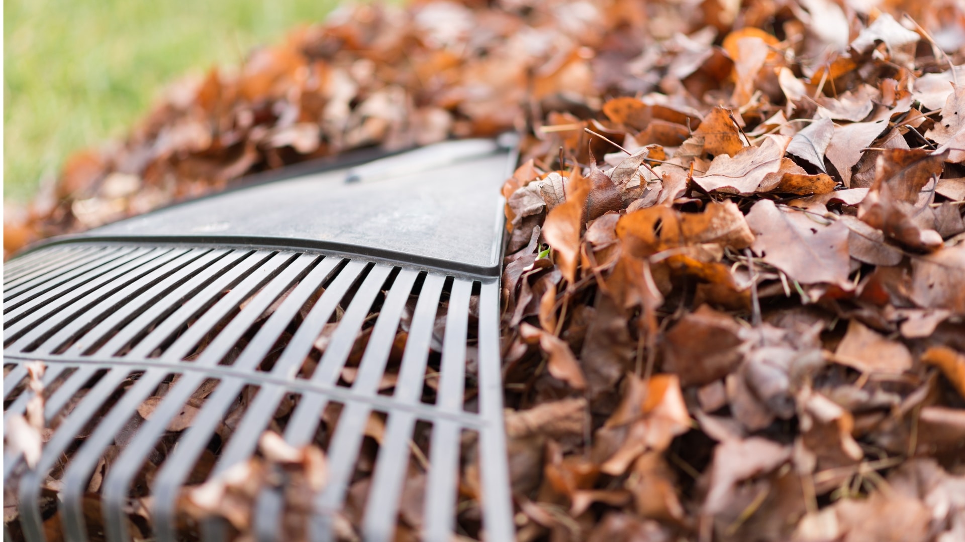 Community Impact Days - Fall Yard Clean-Up for Seniors